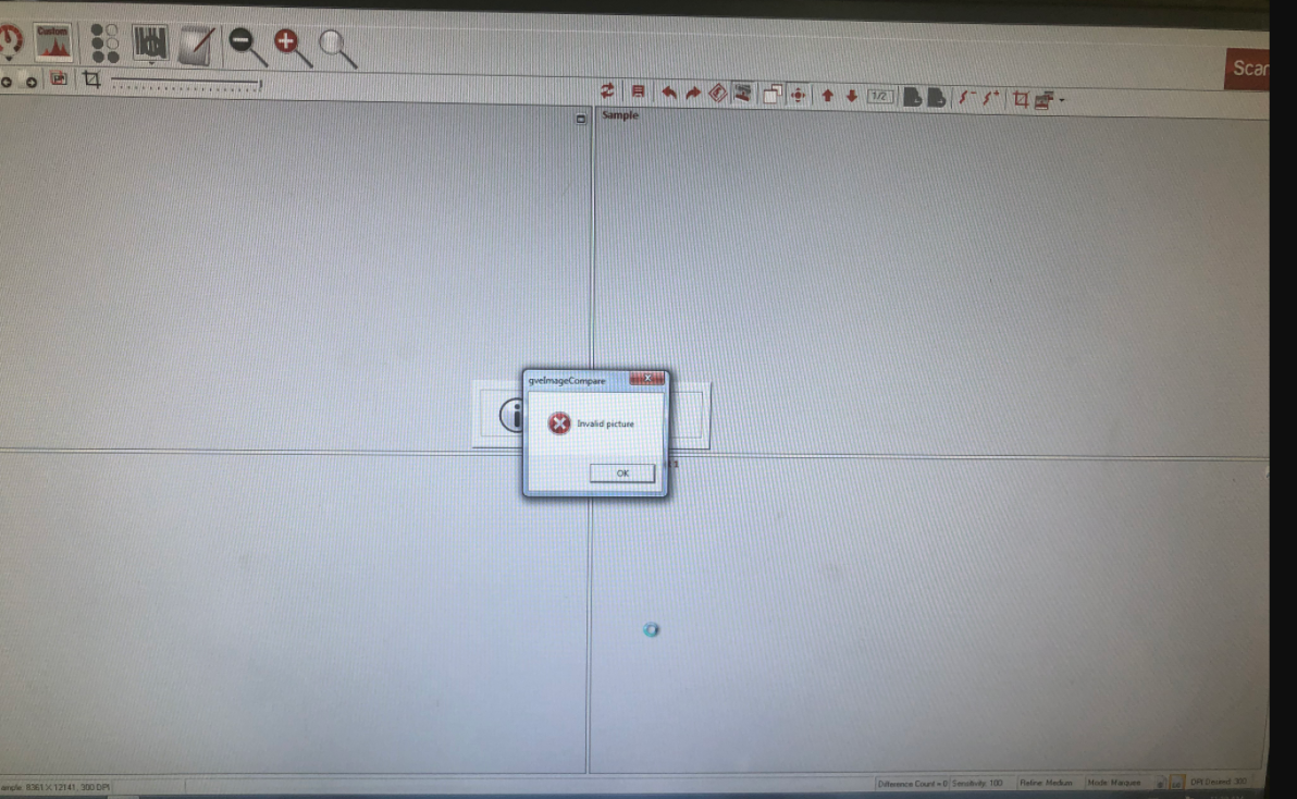 Error Message: "Invalid picture" error during the inspection